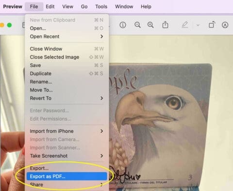 How to Get a CPF in Brazil as a Foreigner Online (FREE): Step-by-Step Guide